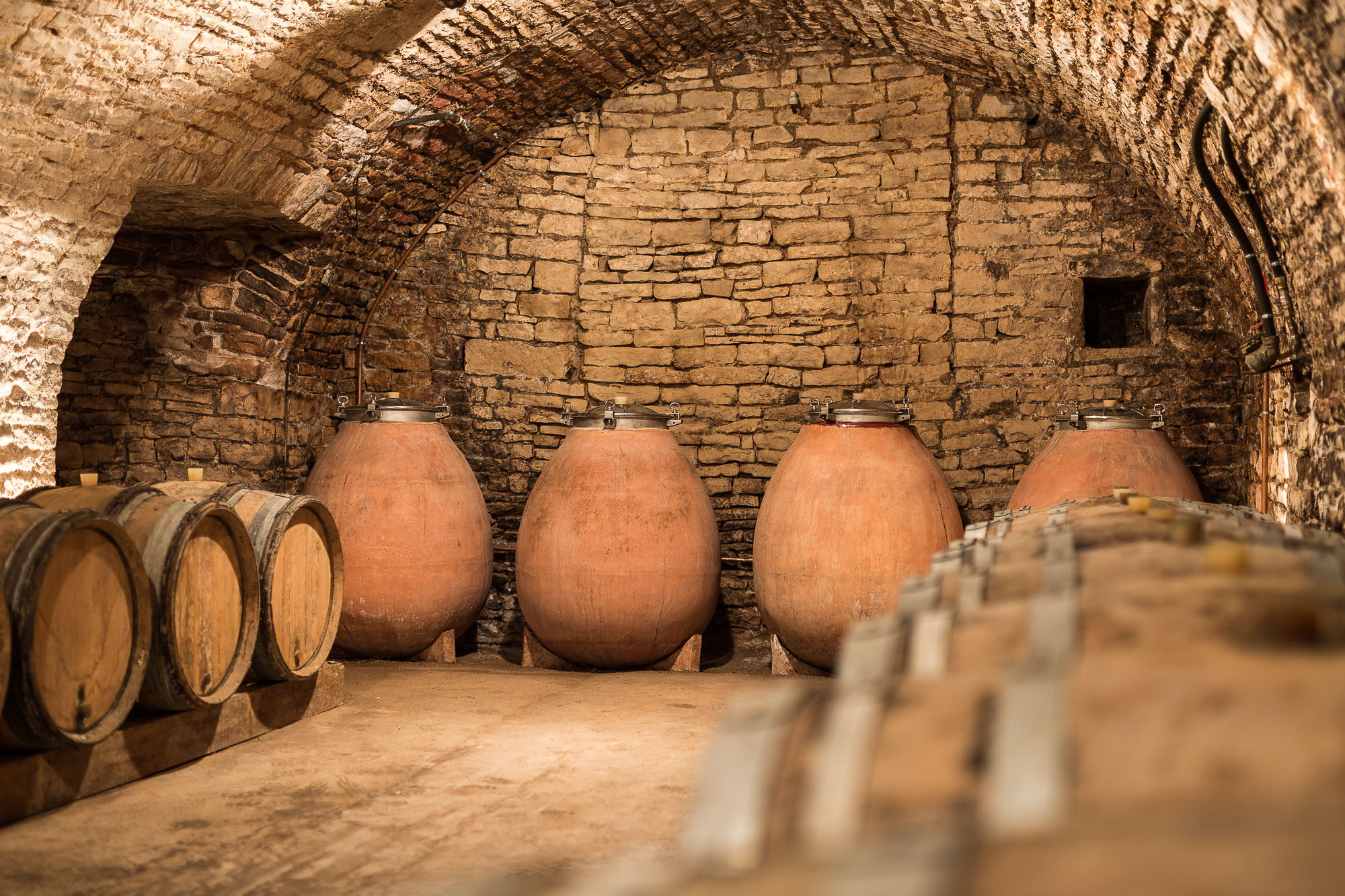 Champagne Gallimard Père et Fils - Les Riceys - Côte des bars Champagne Gallimard Père et Fils - Les Riceys - Côte des bars